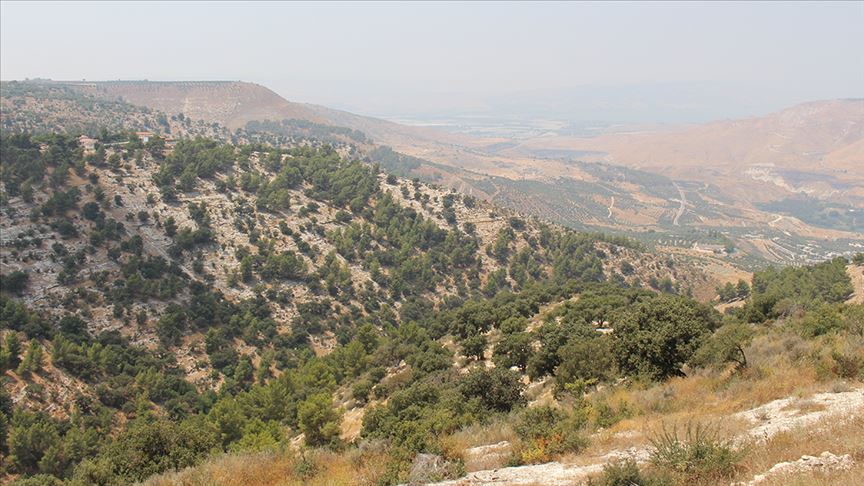 محمية "اليرموك" .. لوحة فنية طبيعية لا تعرف الحدود | شرق وغرب | وكالة ...