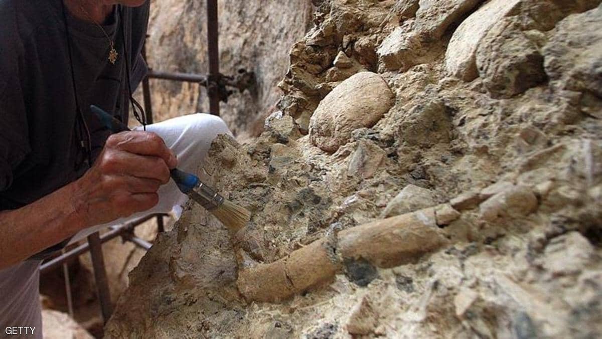 دراسة تربط بين كورونا و"جين" ورثناه من كائن منقرض | صحة وبيئة | وكالة ...